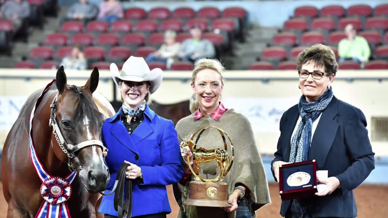 2017 AQHA Amateur Performance Halter Mares - YouTube