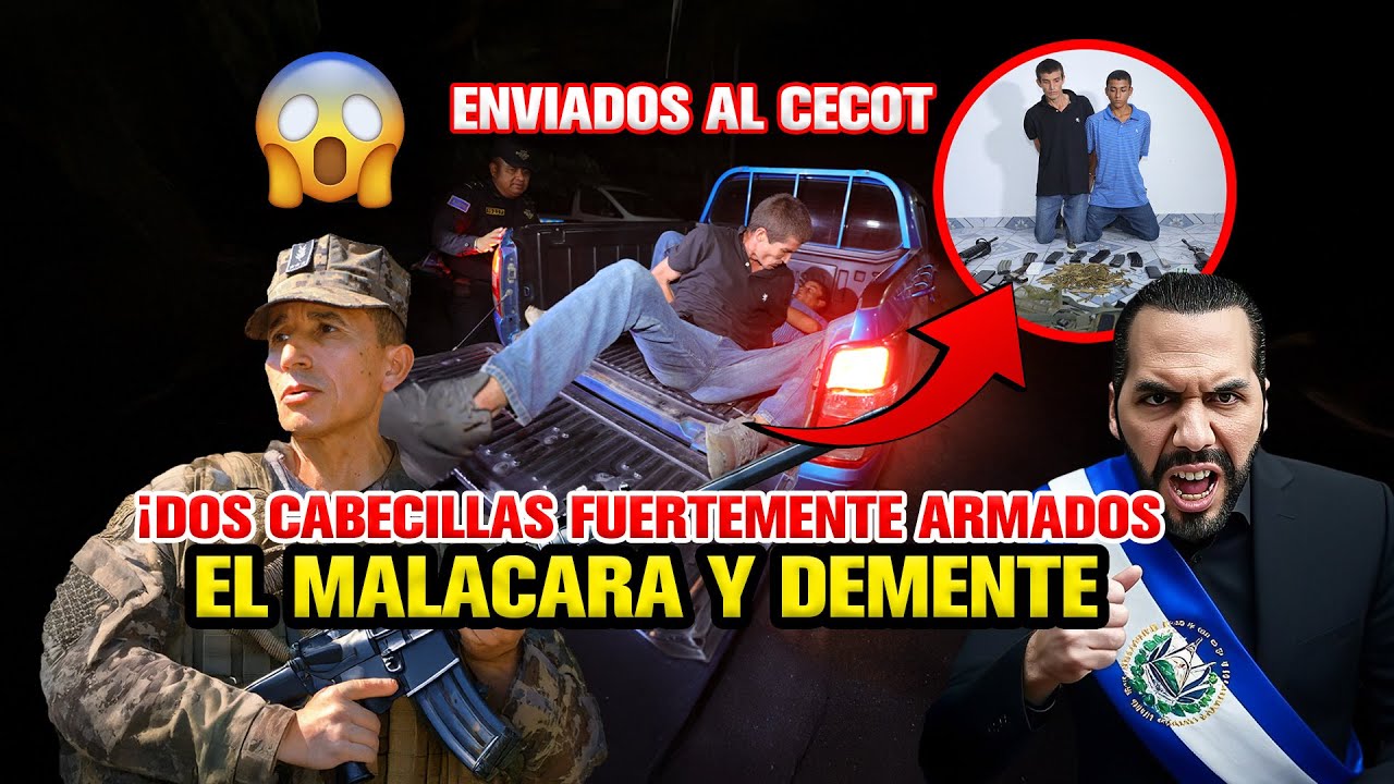 🚨🔥 ¡Dos Cabecillas Fuertemente Armados, Capturados y enviados al CECOT ...