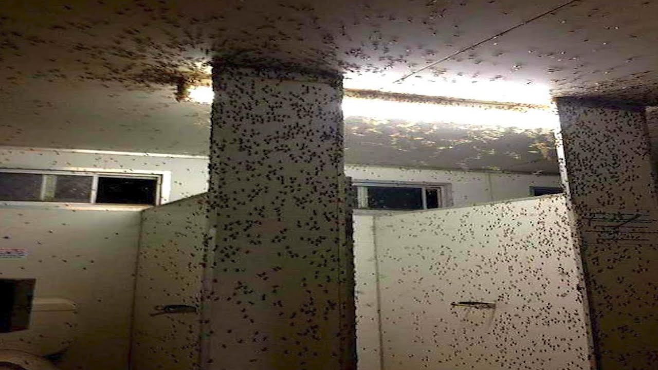 First Diphenhydramine Trip - Diphenhydramine Trip Report #27 - YouTube