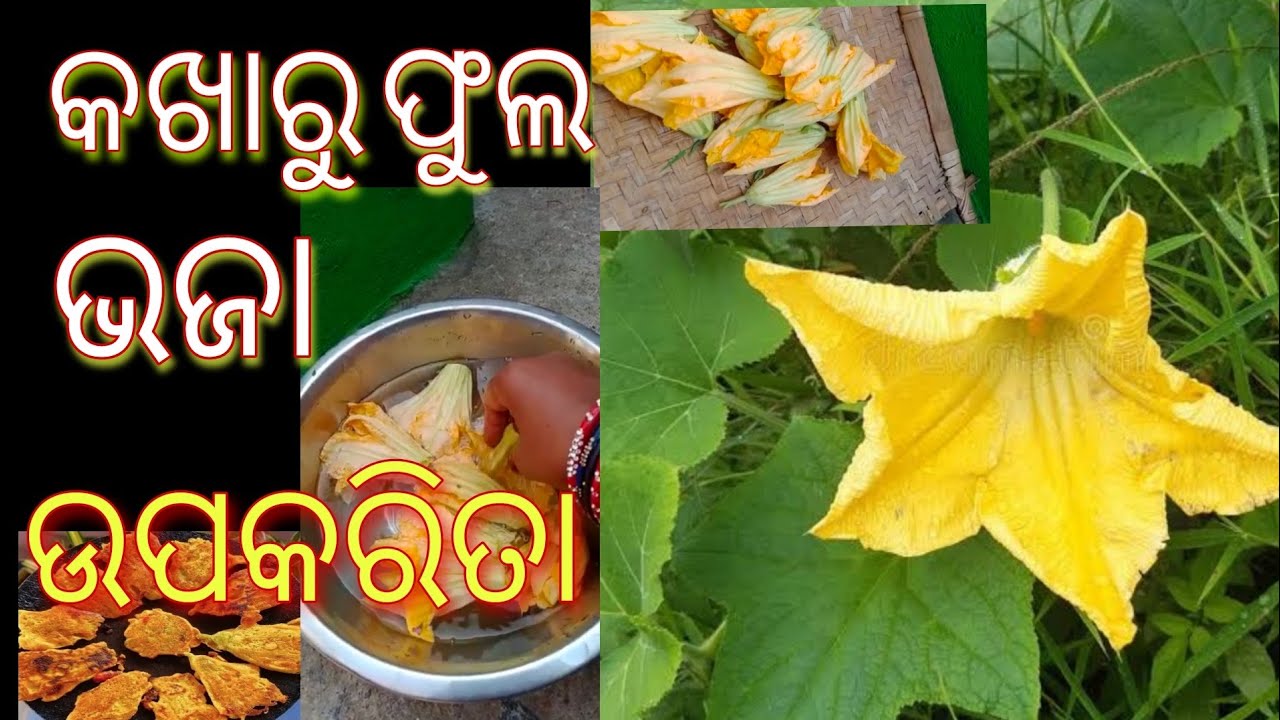 କଖାରୁ ଫୁଲ ଭଜା | Kakharu Phula Bhaja | Odisha Traditional Food Recipe ...