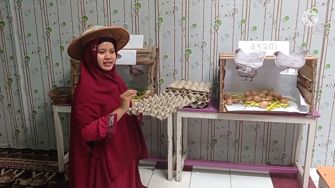 sentra main peran tema binatang - YouTube