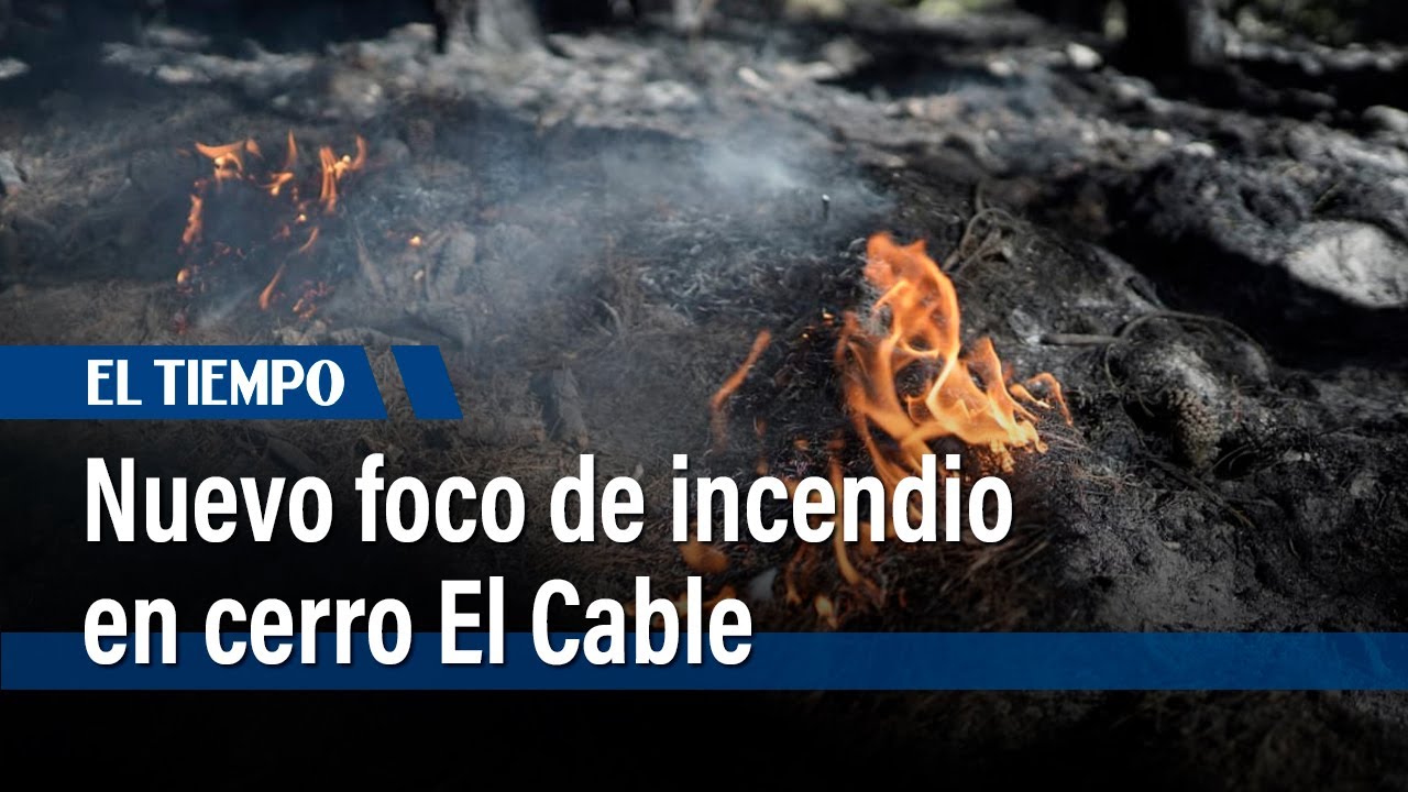 Nuevo foco de incendio en el cerro El Cable, bomberos luchan con las ...