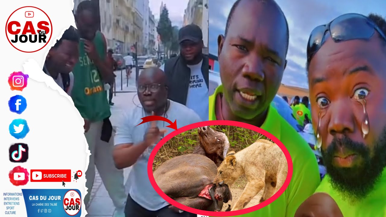 Père International vs Diop fall de nala dou ma 😳💪🏿💪🏿💪🏿🥋🥊😂🤪 - YouTube