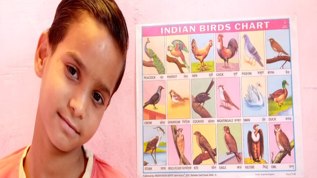 Indian Birds Chart