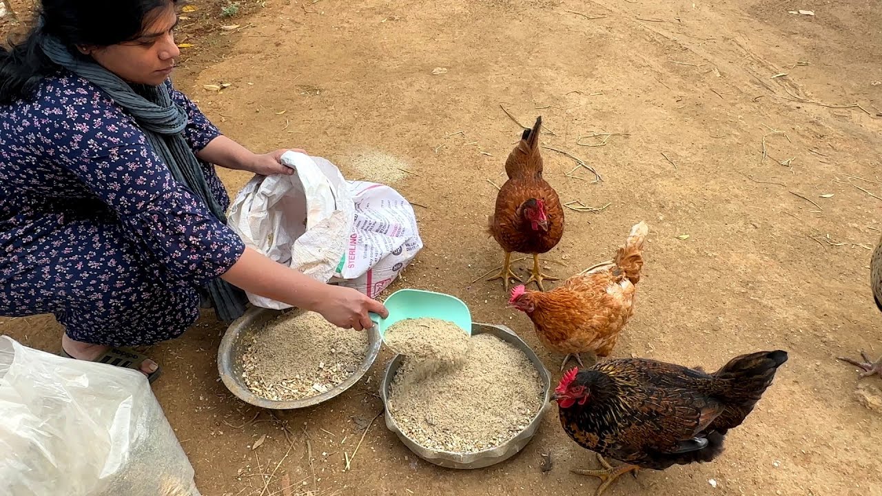 A Day at Farm||Farm Living with Sarada&Ganga|| B like Bindu - YouTube