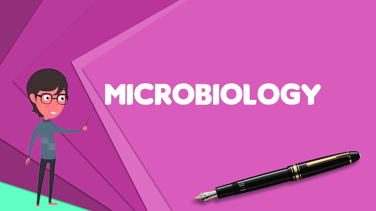 What Is Microbiology Explain Microbiology Define Microbiology what-is-microbiology-explain-microbiology-define-microbiology