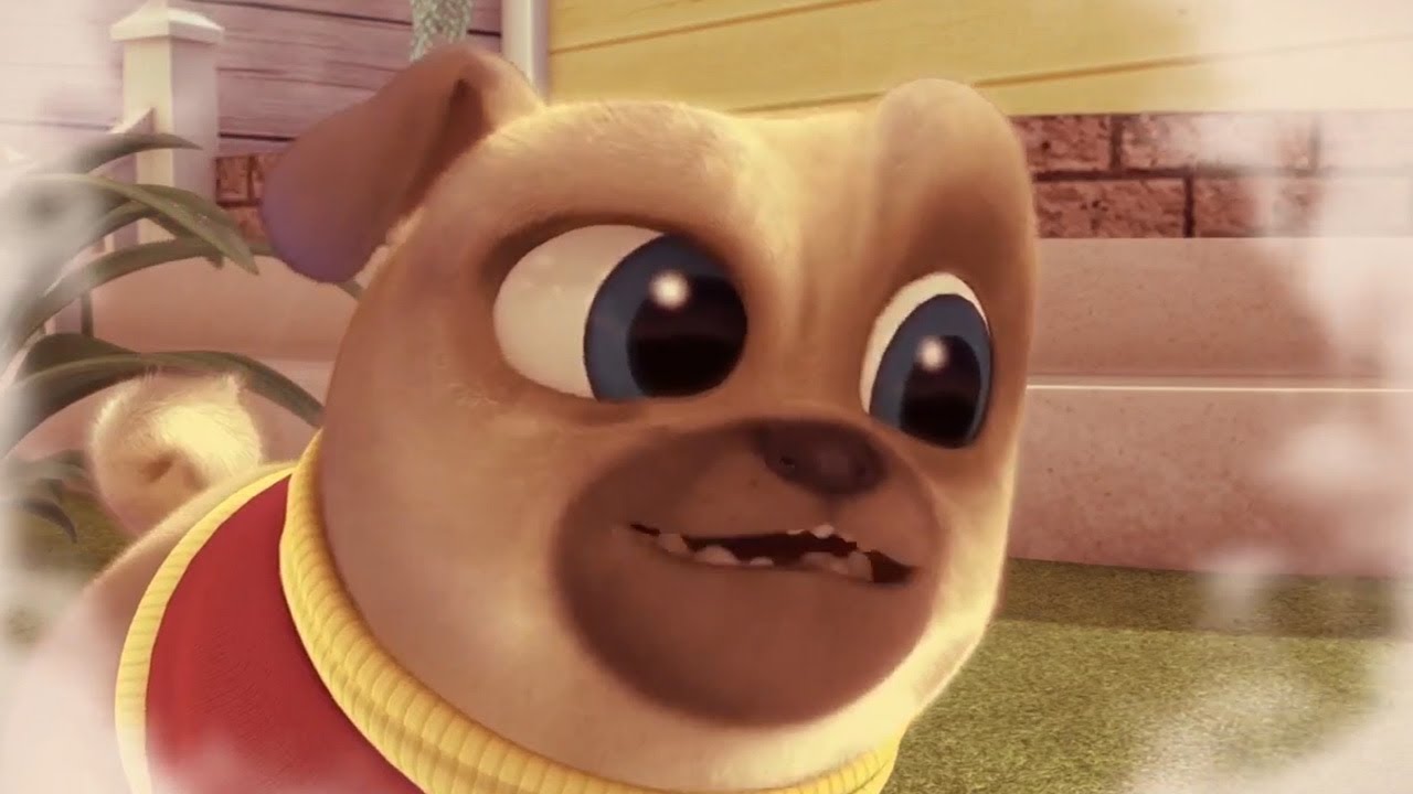 Bob Rides A Unicycle Bingo And Rolly Puppy Dog Pals Disney 2017 - YouTube