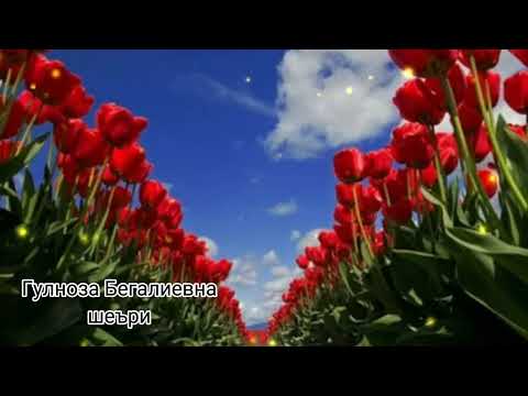 Туй боб шеър #шеър