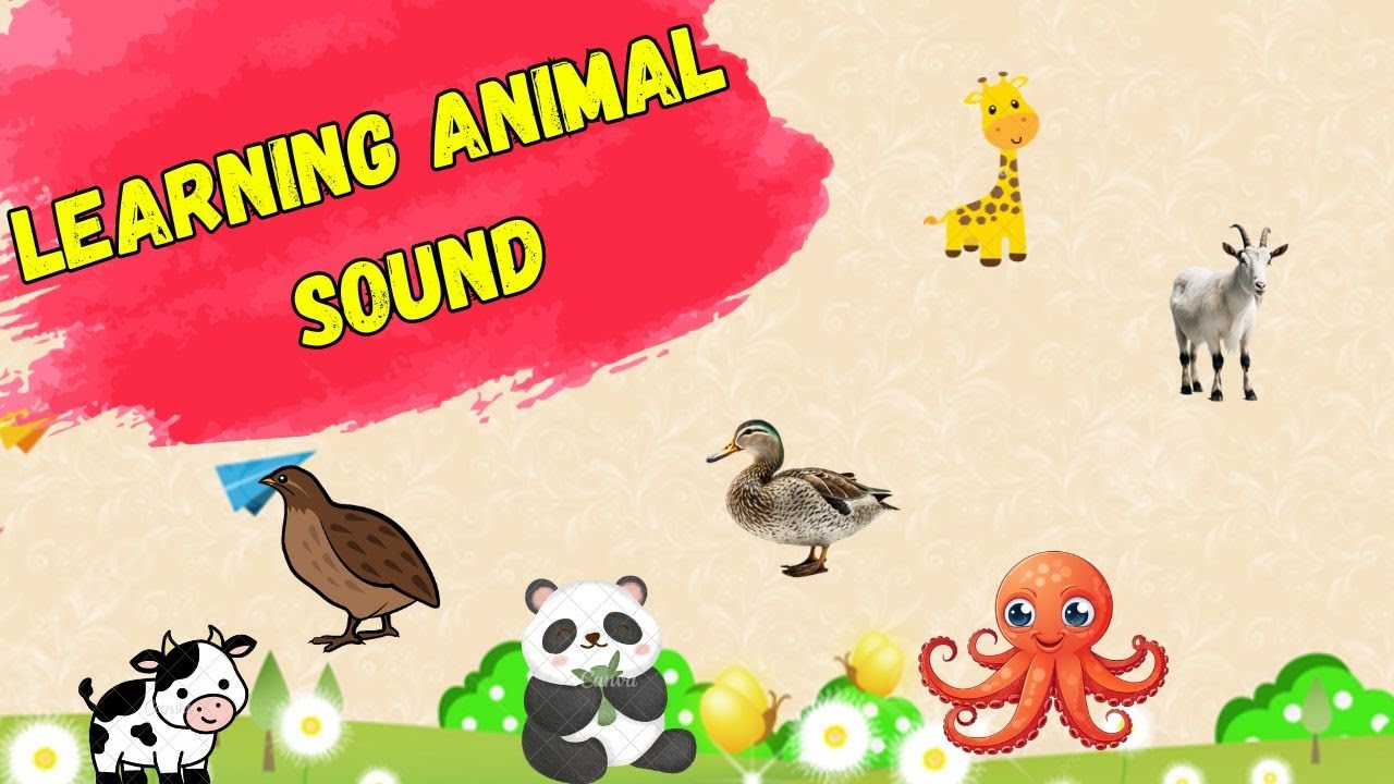 learning animal sound for kids|#kidscomedyvideos #animals - YouTube