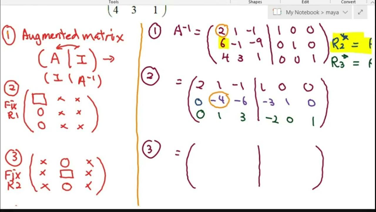 NK 4.3 Exercise ERO - YouTube
