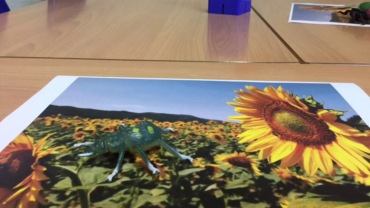 Pollination explanation made using stop frame animation & narration in ...