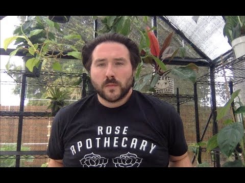 Scott McSwain - Being Gay at Union University - YouTube