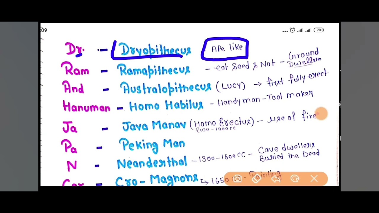 Human evolution for class 12th - YouTube