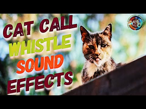 Cat Call Whistle Sound Effect | Various Calling Cat Whistling Sounds ...