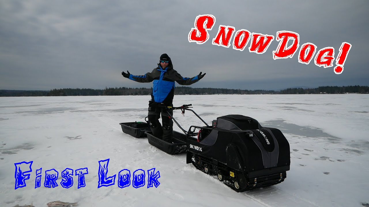 Snow Dog First Look - YouTube
