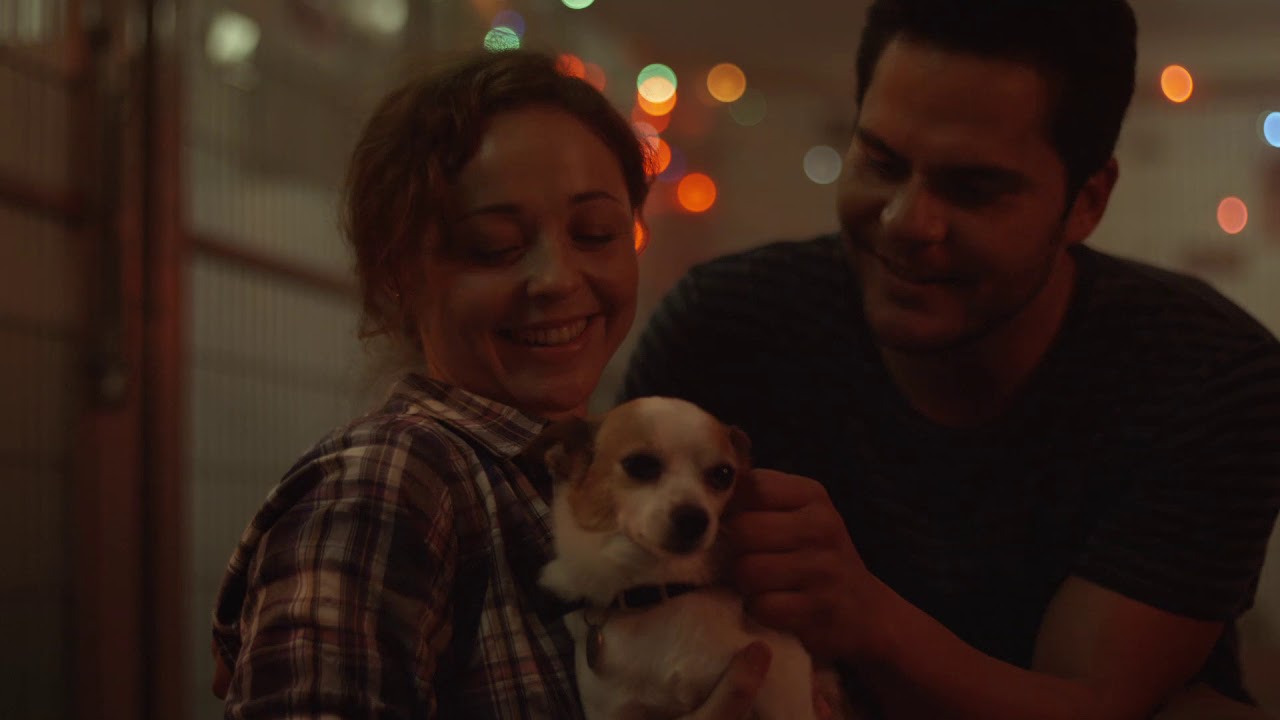 Brett Pels Voice Over- SUBARU NIGHT VISIT - YouTube