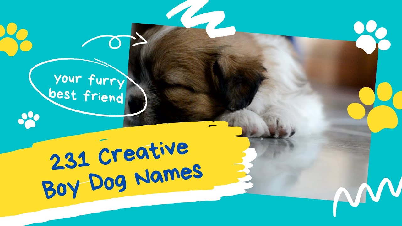 231 Creative & Unique Boy Dog Names - YouTube