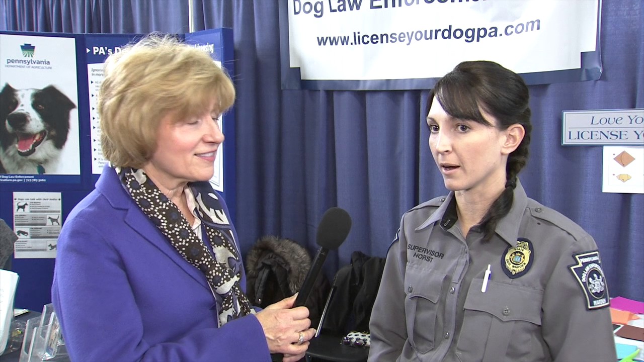 What Are The Pa Dog Laws what-are-the-pa-dog-laws