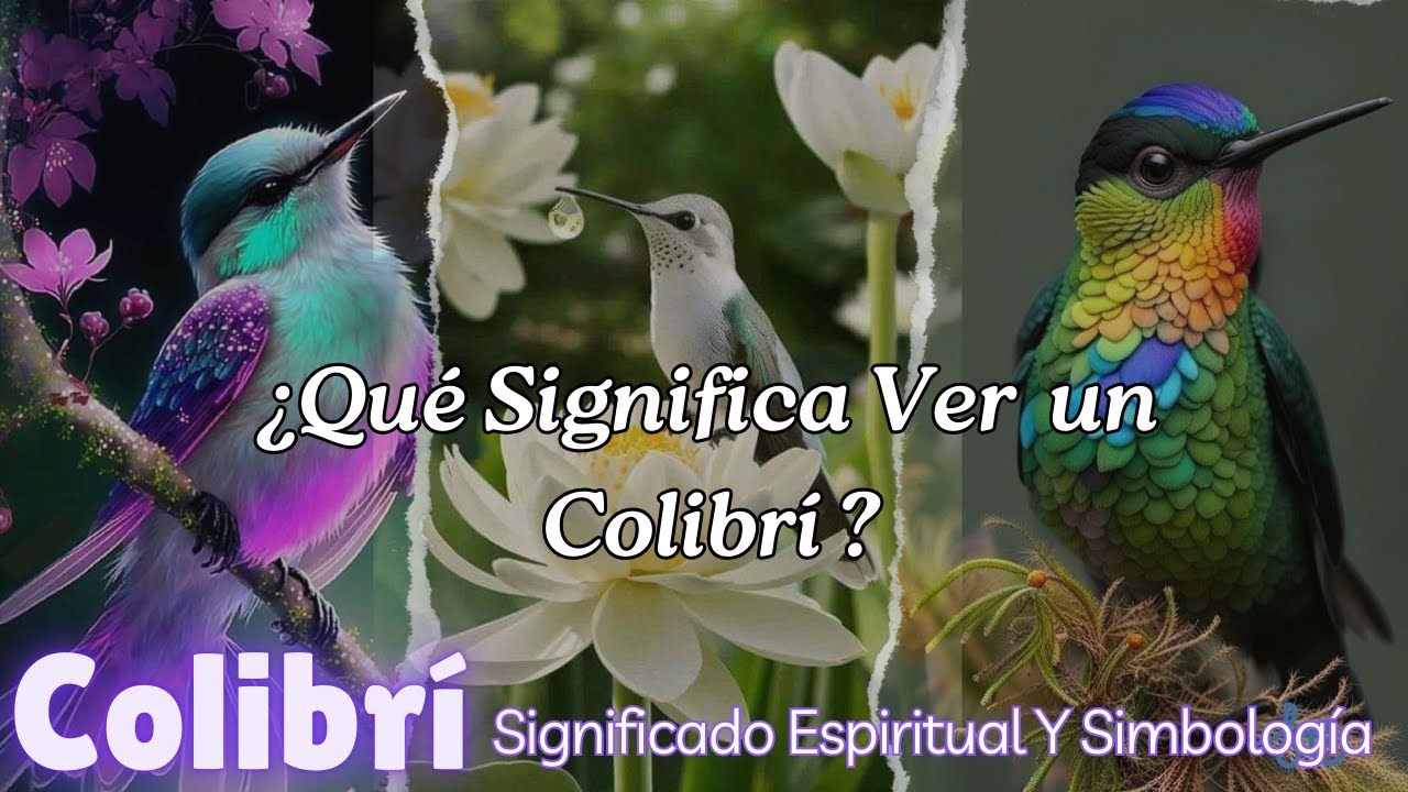 COLIBRÍ Significado Espiritual Y Simbología 🌺¿Qué significa ver un ...