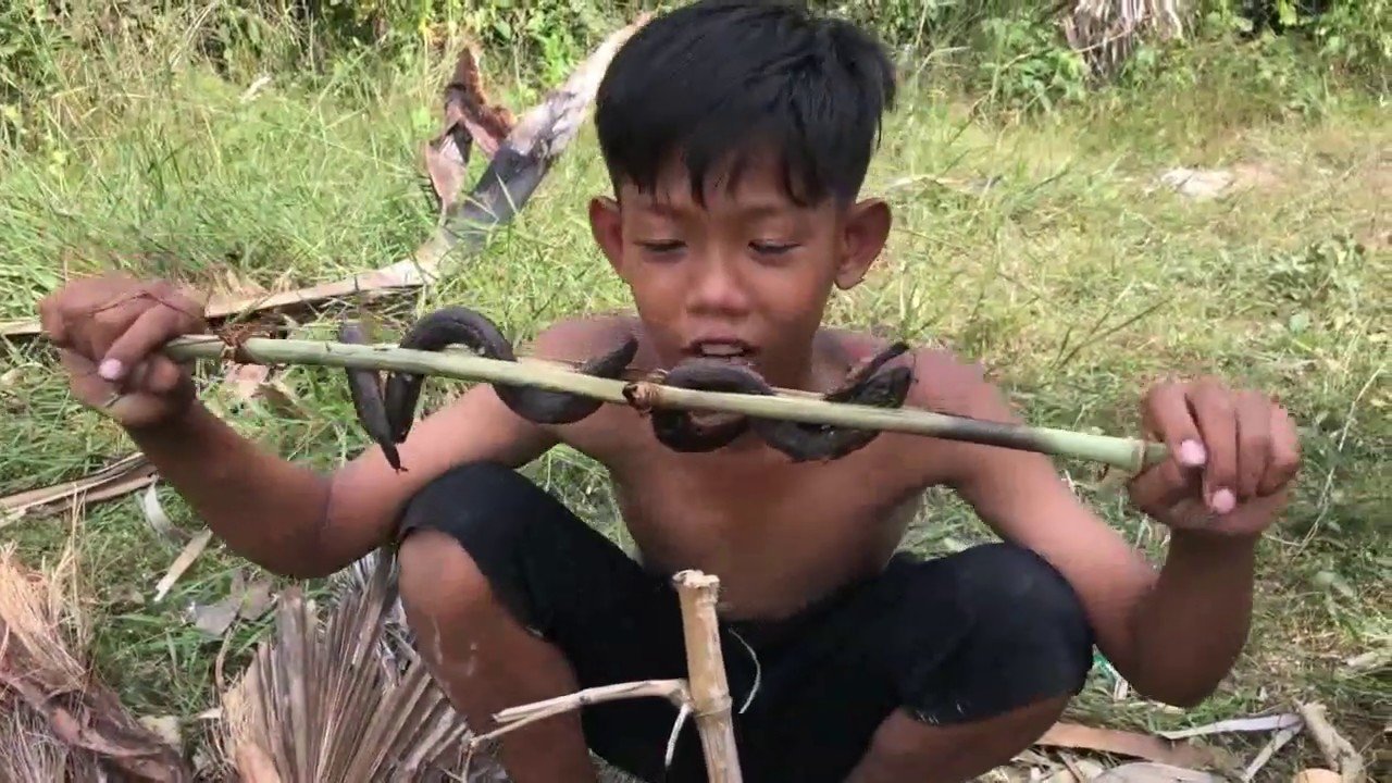 Primitive Boy Cacth and cooking eel recipe - YouTube