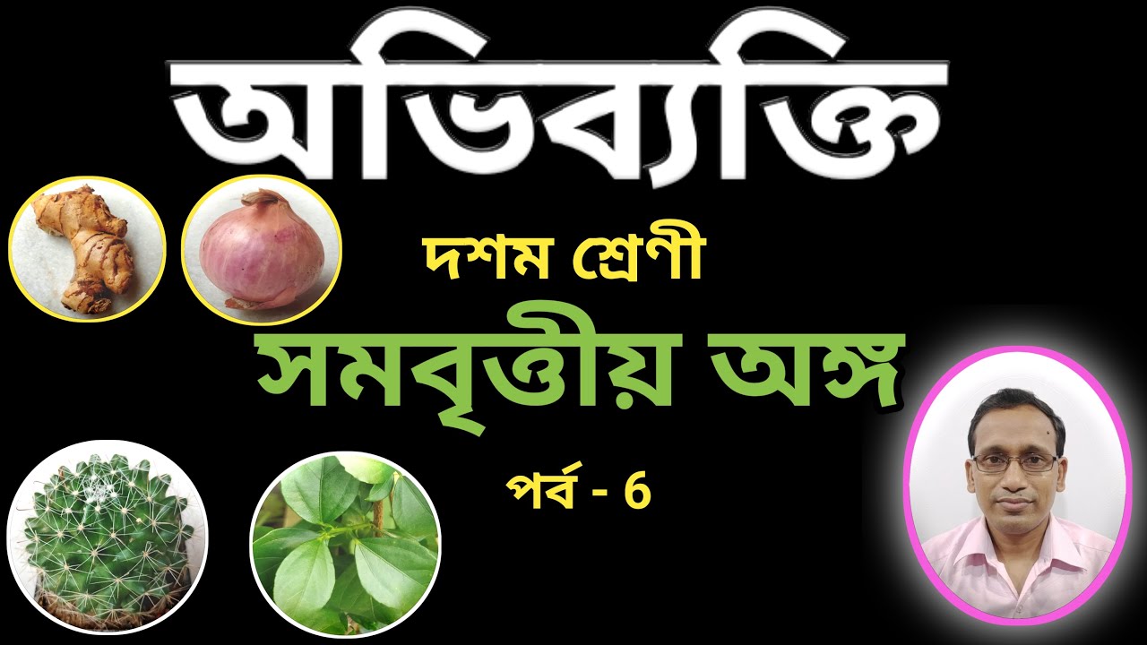 ANALOGOUS ORGAN CLASS 10 WBBSE YouTube ANALOGOUS ORGAN CLASS 10 WBBSE YouTube