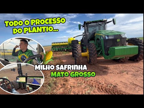 Pimenta plantando sozinho 😳😰😱