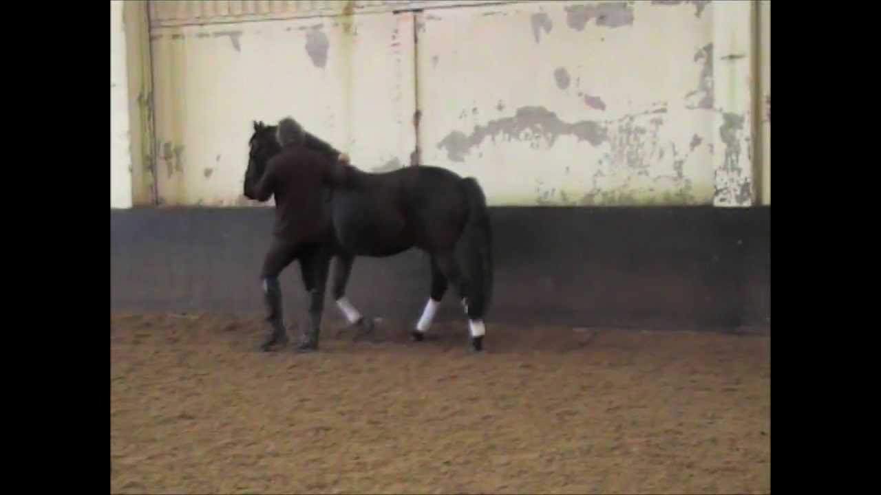 Developing the Spanish Trot - YouTube
