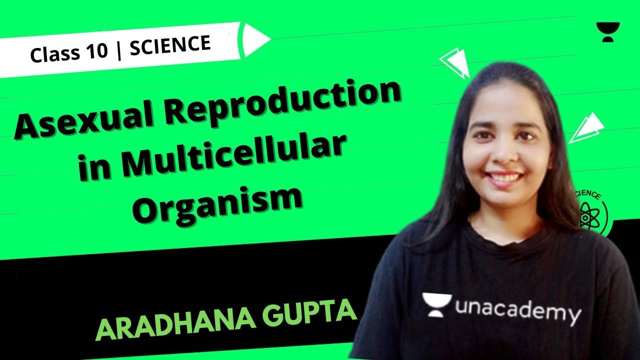 Asexual Reproduction in Multicellular Organism | SSC 10 | Science ...