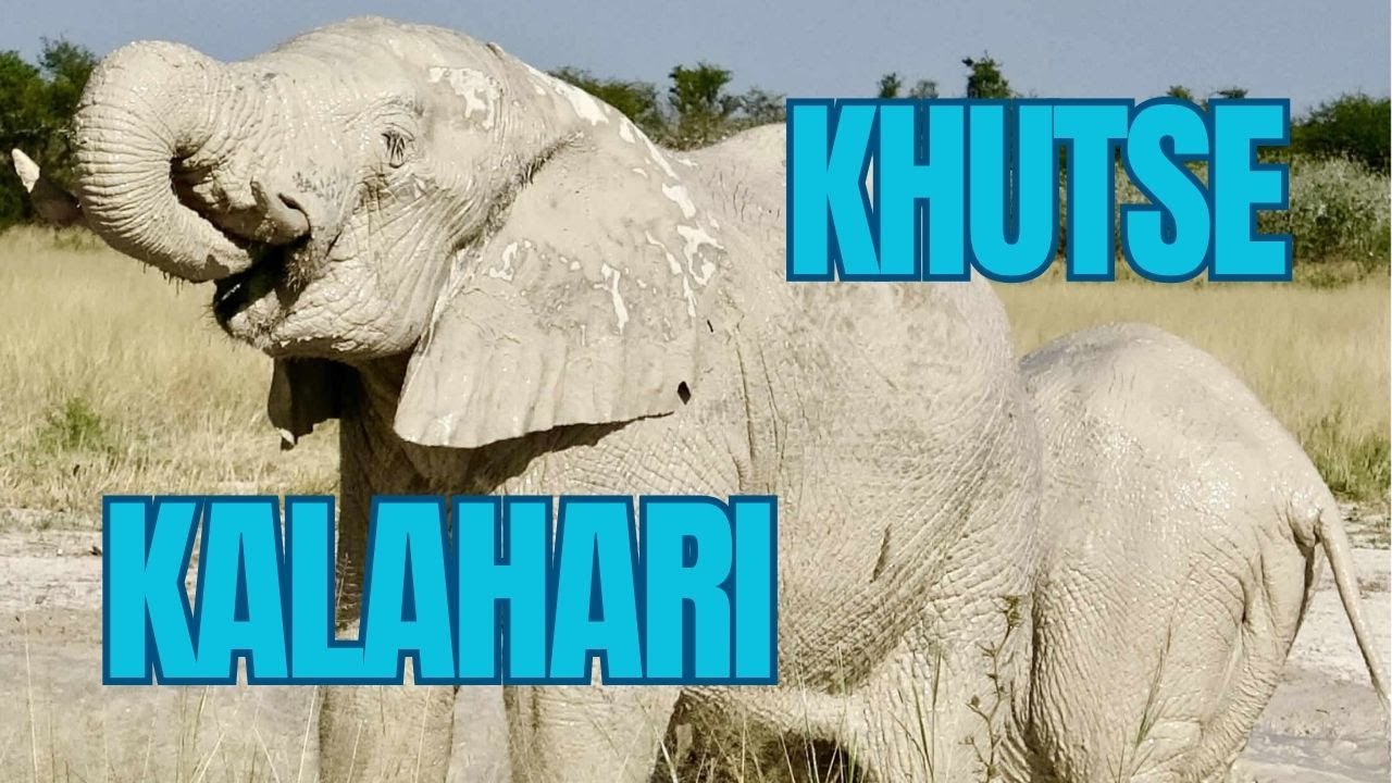 Solo Into the Wild | My Journey to Khutse Game Reserve - YouTube