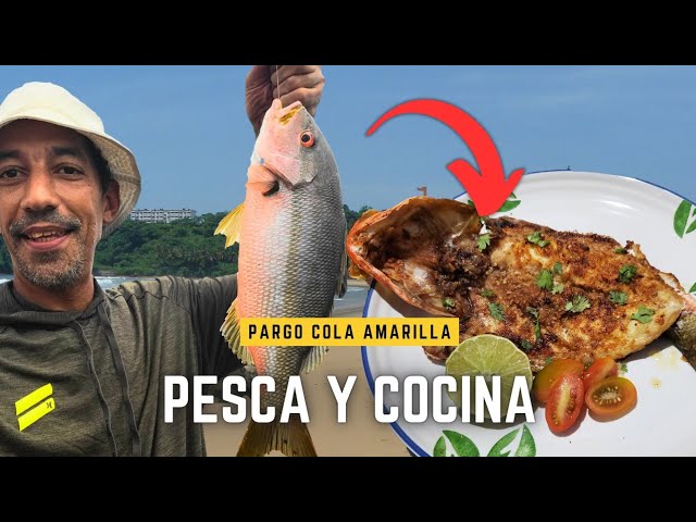 Pargo De Malasia Y Su Hermano BULLDOG MALACCA, Melaka Menú, Precios