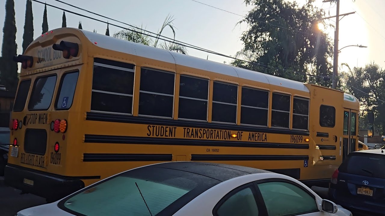 Student Transportation of America 2019 Bluebird Vision Propane #196099 ...