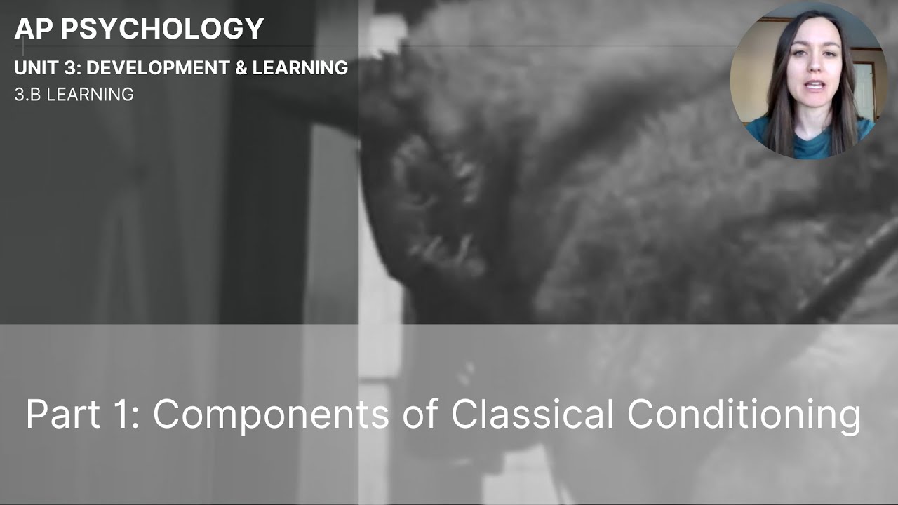 Unit 3B Part 1 Components of Classical Conditioning - YouTube
