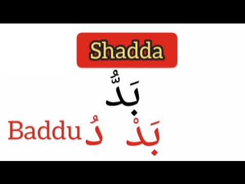 Learn to Read Arabic alphabets 5-for absolute beginners(Shadda) - YouTube