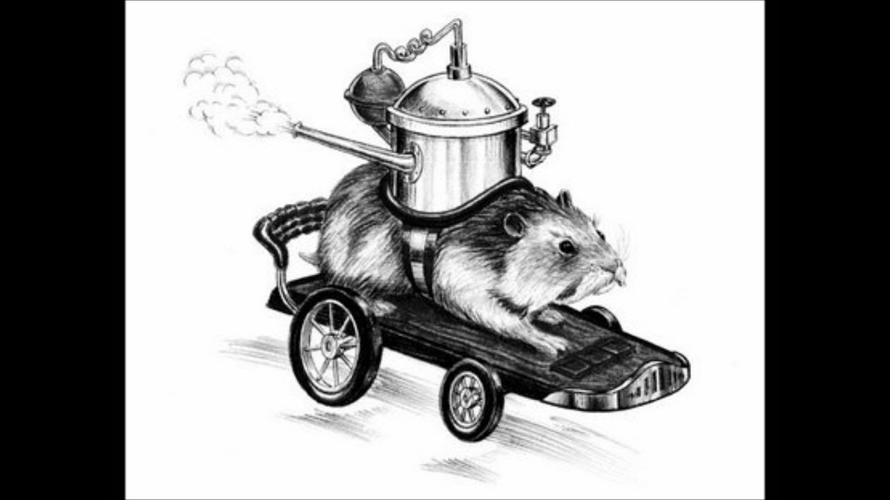 "Techno Hamster" - Techno Remix - YouTube