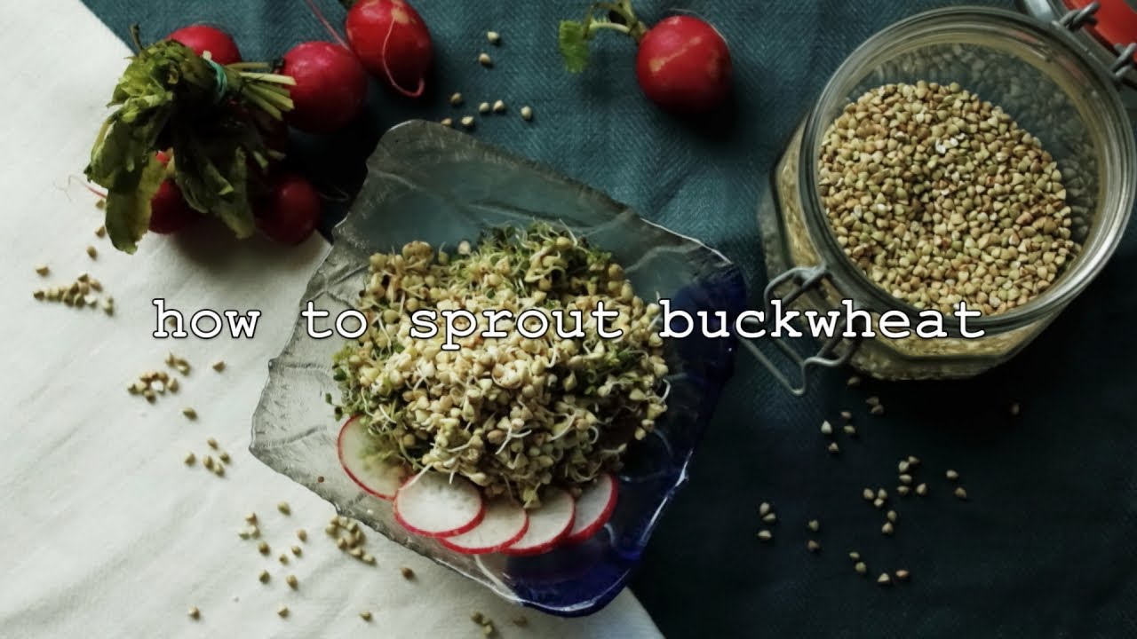 How to Sprout Buckwheat - 2 ways and Recipes l Gluten free, Raw ...