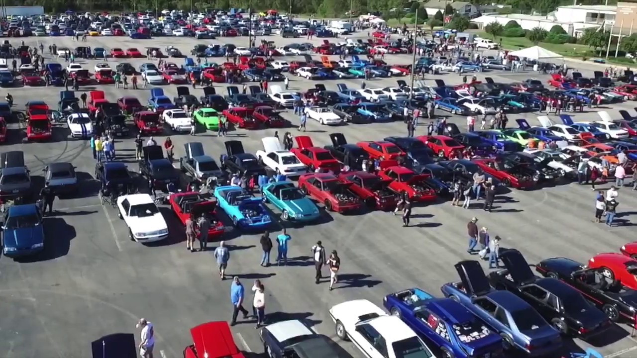 Foxtoberfest 2019, An All Fox-Body Event - YouTube