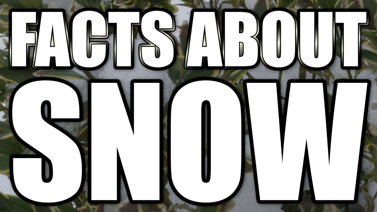 10 Interesting Facts About Snow YouTube 10-interesting-facts-about-snow-youtube