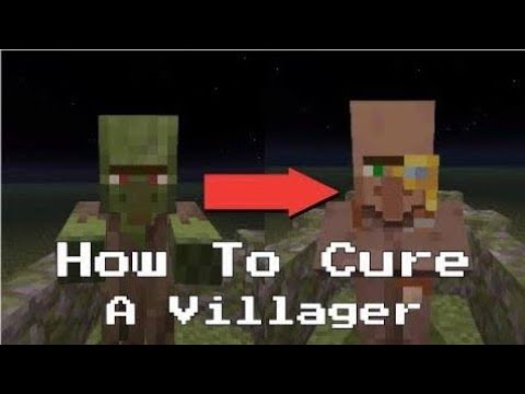 Minecraft how to transform zombie villager into villager - YouTube