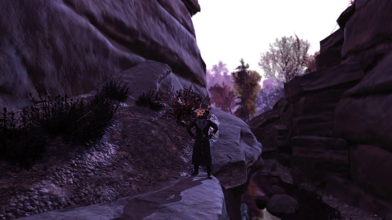 “Forest Treasure Map #10” - Fallout 76 Treasure Map - YouTube