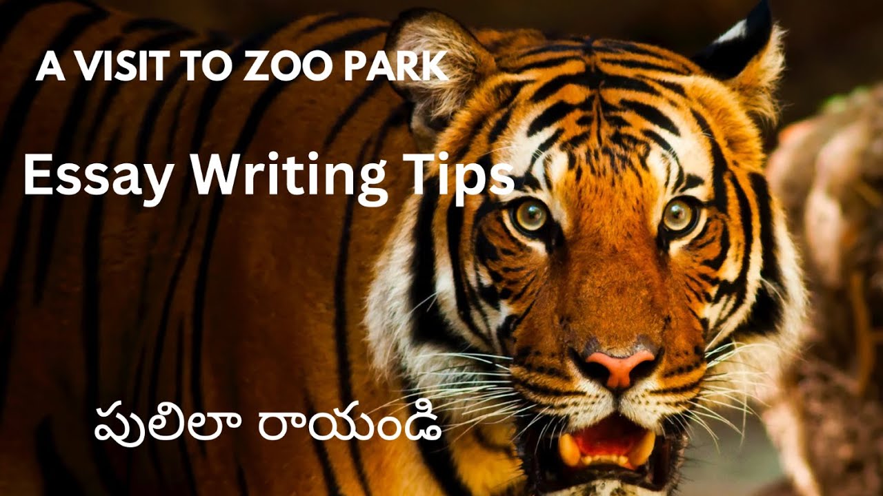 A visit to ZOO park essay II ZOO PARK II vizag ZOO II Essay writing ...