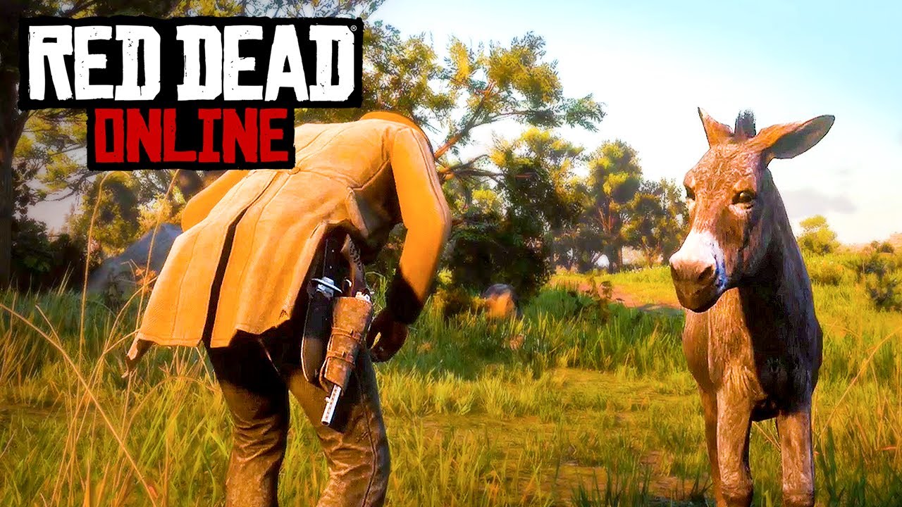 They Shot Me In The A.. Donkey - Player Bounties Alive & Dead | RED ...