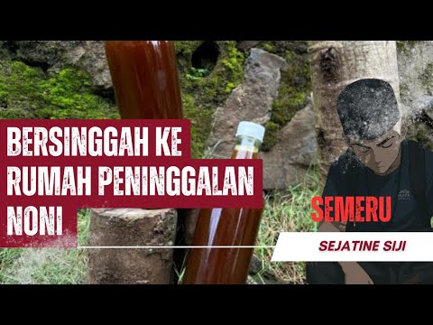 🔴MENGUNGKAP RUMAH NONI DI LERENG SEMERU#sejatinesiji#ilhamoffical - YouTube