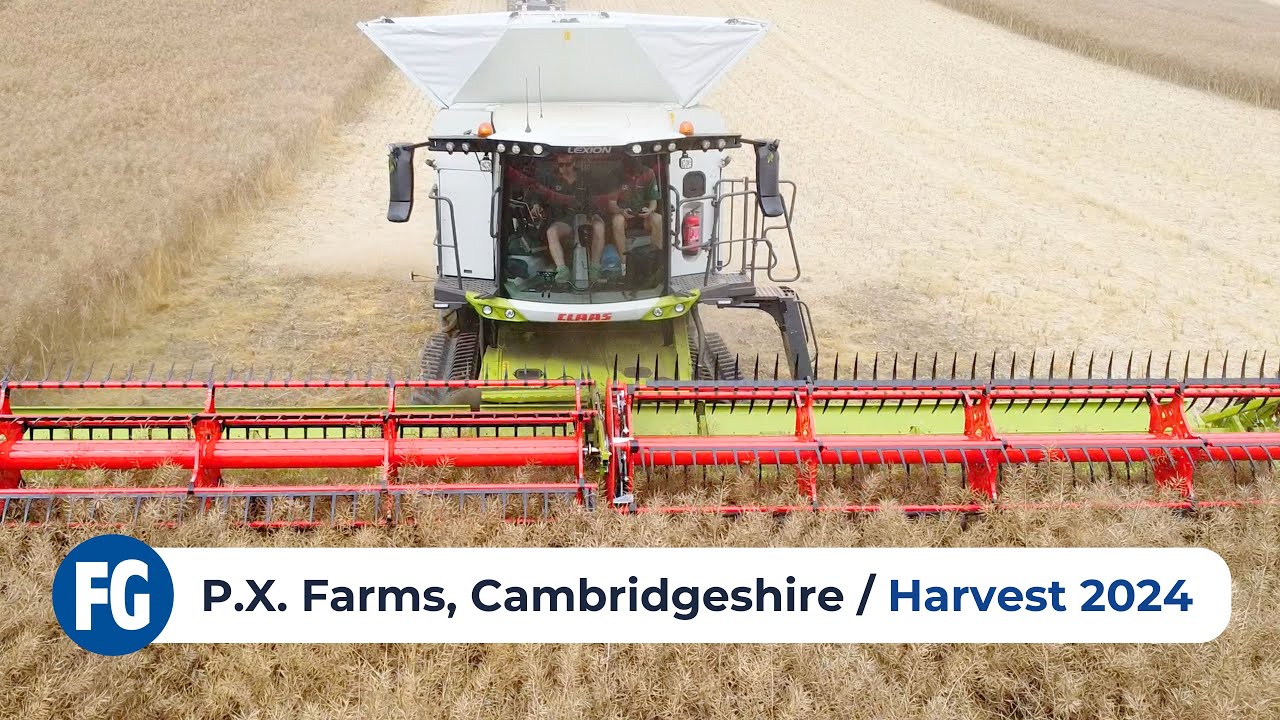 Harvest 2024 | PX Farms in Cambridgeshire, feat. Claas Combines - YouTube