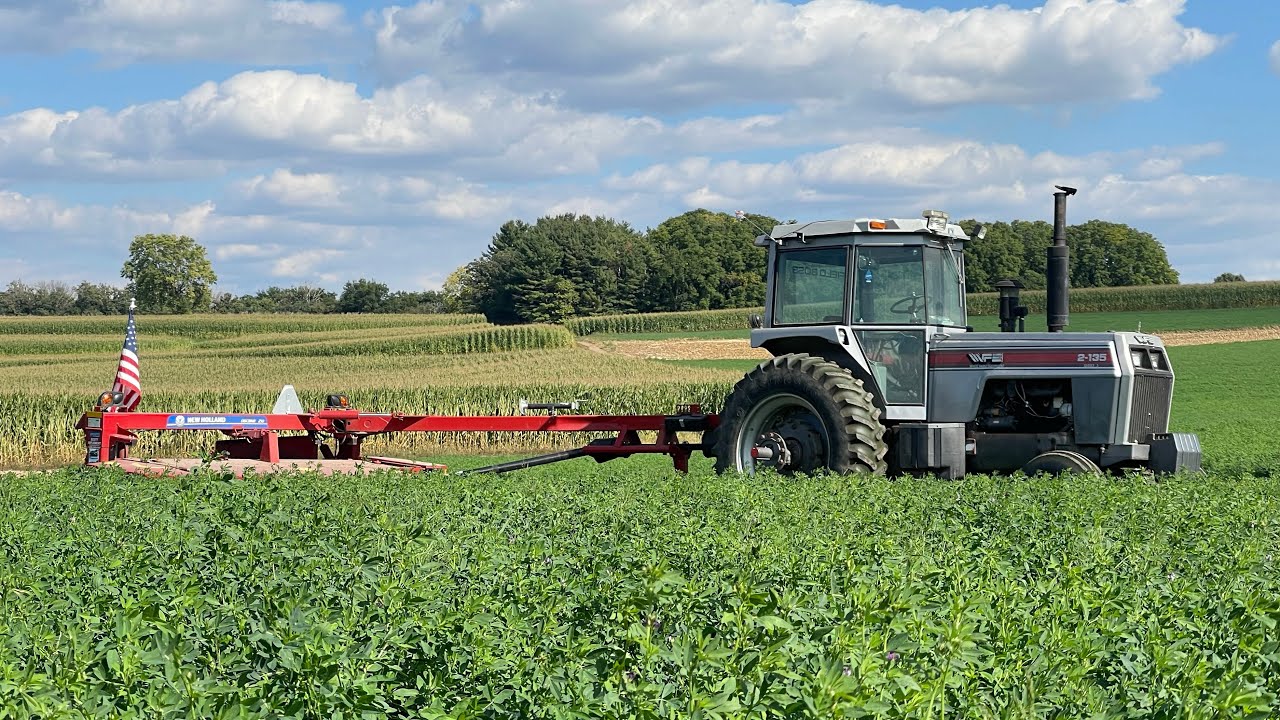 5th crop hay FAIL! Trying out chopping corn with the FP230! - YouTube