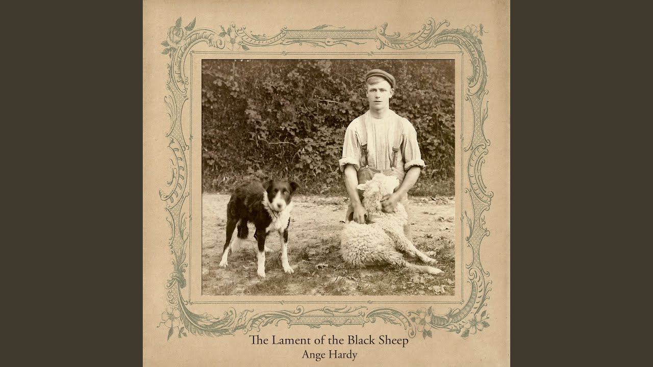 The Tilling Bird - YouTube