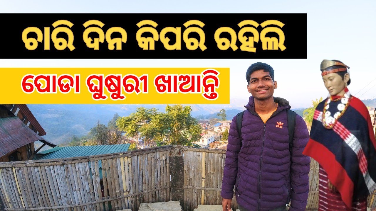 ଅଙ୍ଗାମି ନାଗା ଆଦିବାସୀ କିପରି ବାସ କରନ୍ତି, 4 days with the Angami Naga in ...