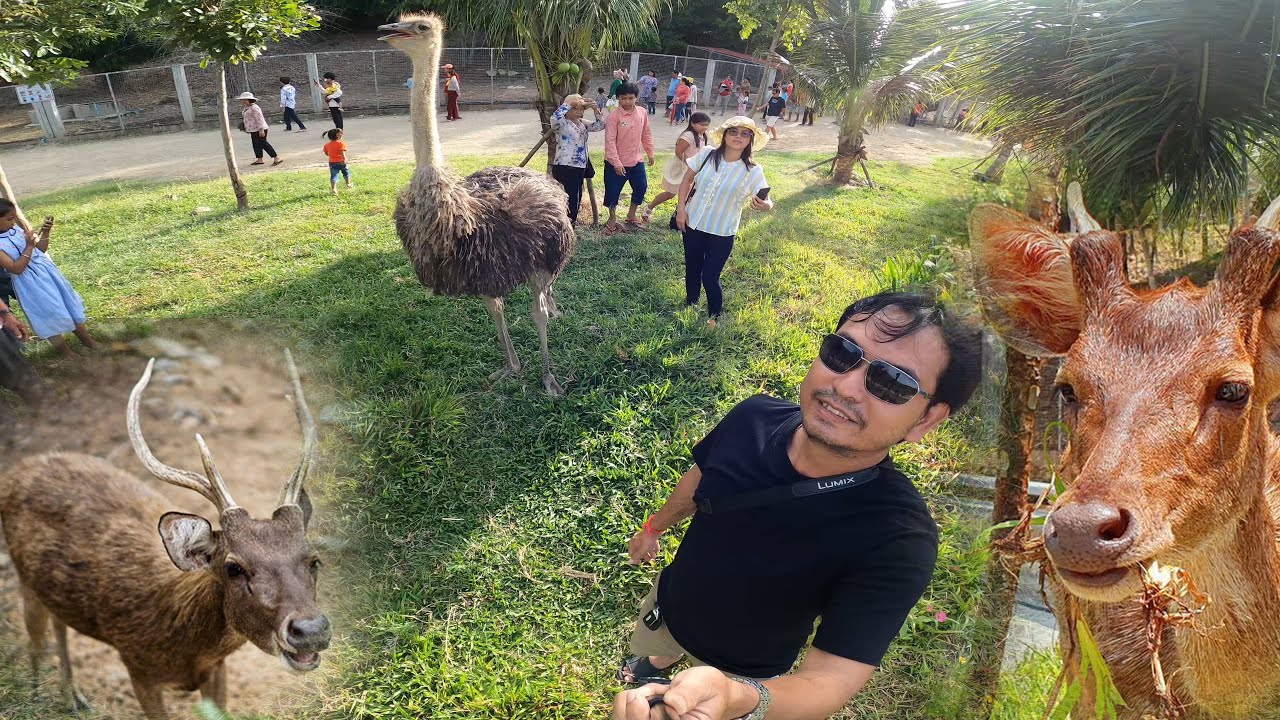 សួនសត្វម៉ុងឫទ្ធី សែនជ័យ | Mong Reththy Senchey Zoo - YouTube