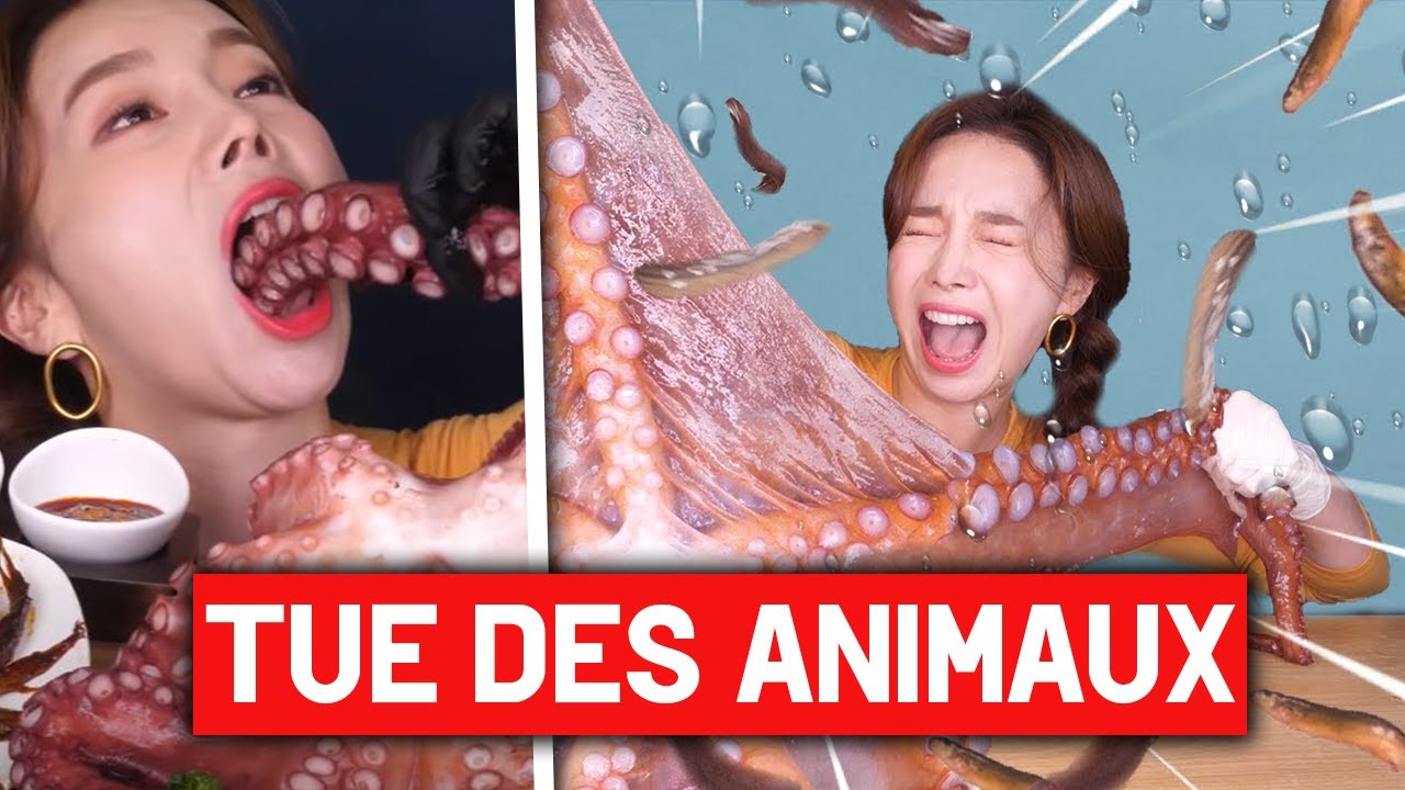 Cette Youtubeuse TUE Des ANIMAUX Pour Des VUES ! (qui soutient ca ...