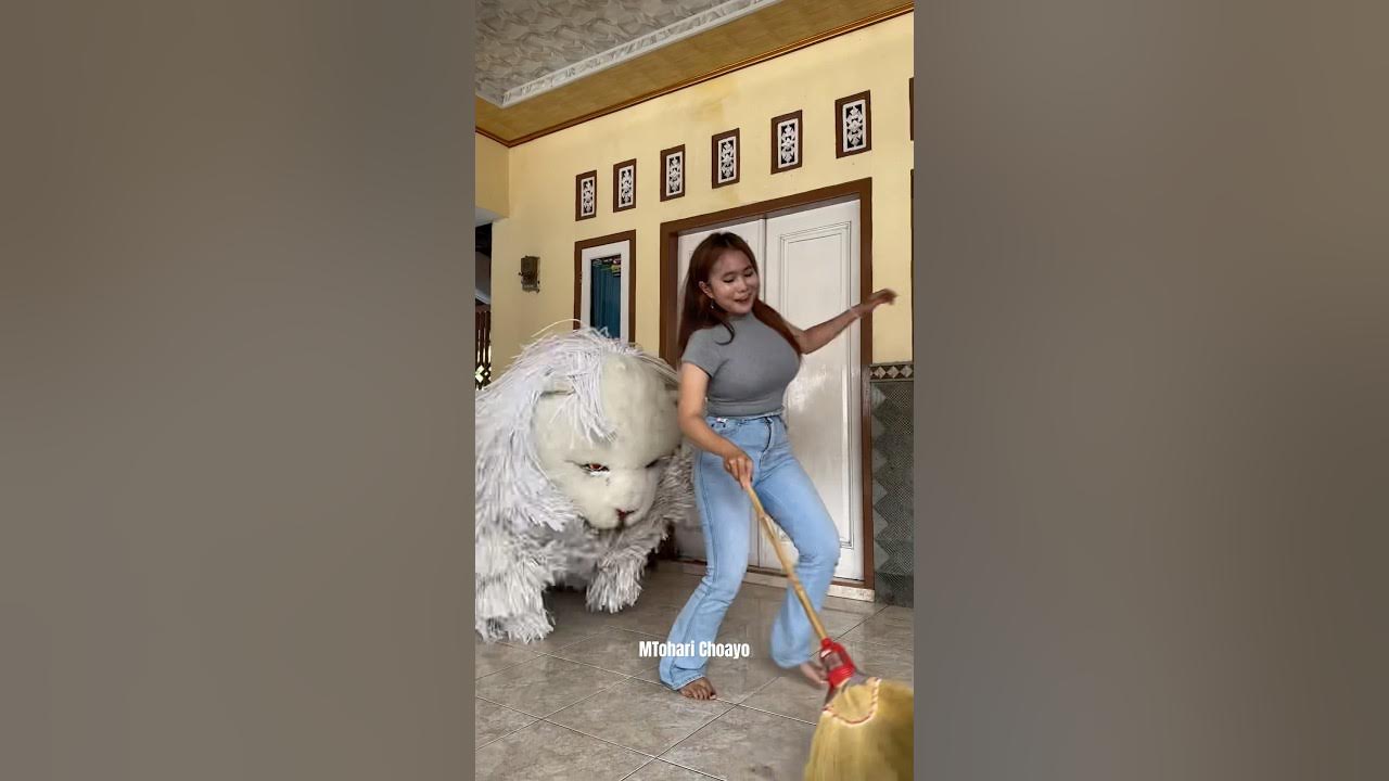 Cewek cantik lagi nyapu dikagetin can macanan - YouTube