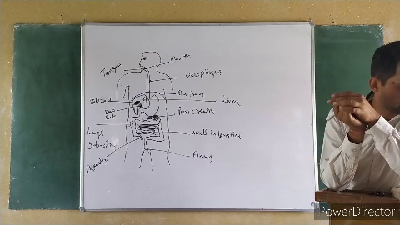 Class 10th science chapter 6 part 4 - YouTube